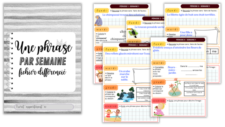 Rituel d’EDL cycle 3 : Une phrase par semaine - Orphéecole