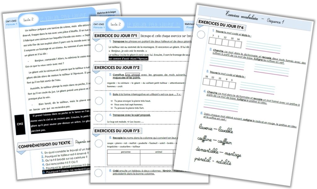 La grammaire au jour le jour – Méthode Picot 2017-2018 - Orphéecole